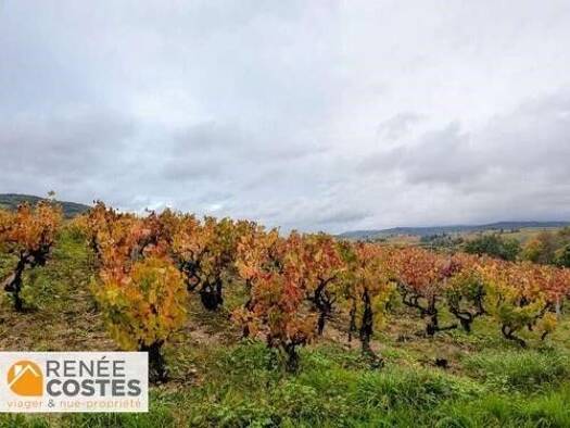 Achat maison en viager Chiroubles 69115