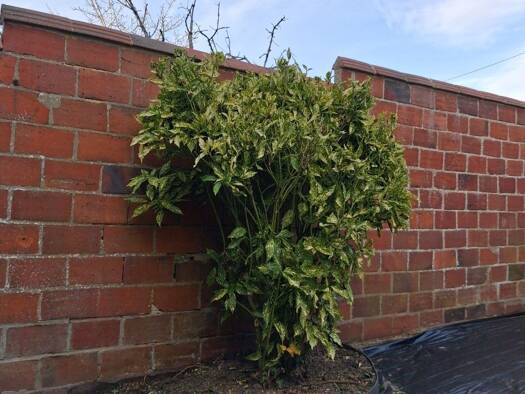 Location Est Gisors 27140