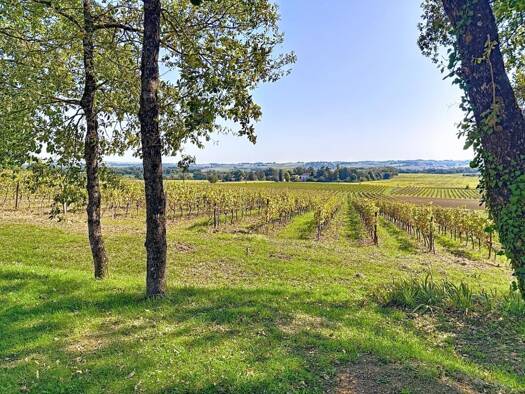 Achat maison de luxe Castéra-Verduzan 32410