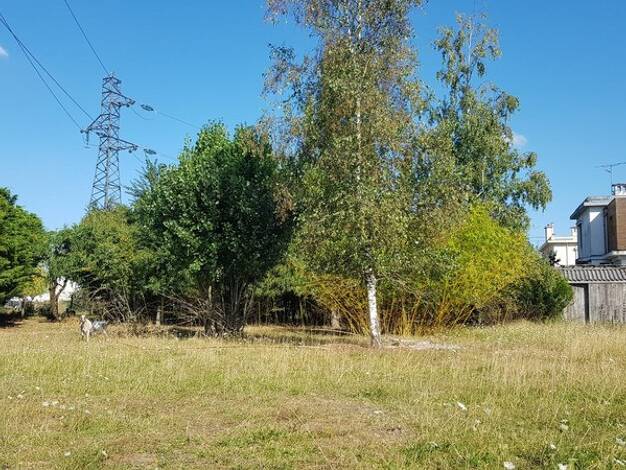 Achat neuf L'Île-Bouchard 37220