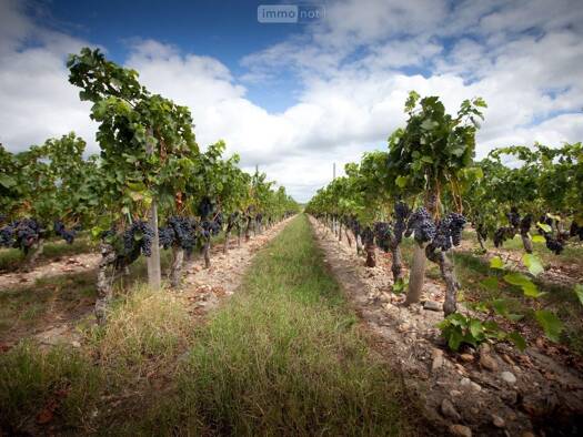 Achat maison de luxe Cantois 33760