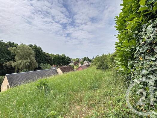 Achat local commercial Montrouveau 41800