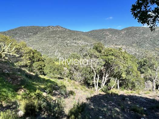 Achat terrain pas cher Rayol-Canadel-sur-Mer 83820 dès 850 000€ : 9 ...