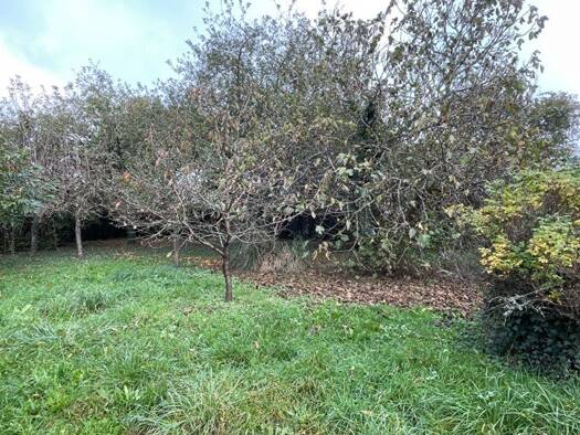 Achat maison Les Vignes-Soudanas Panazol 87350 dès 149 000€ : 10 annonces