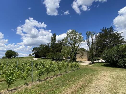 Achat maison de luxe Savignac 33124