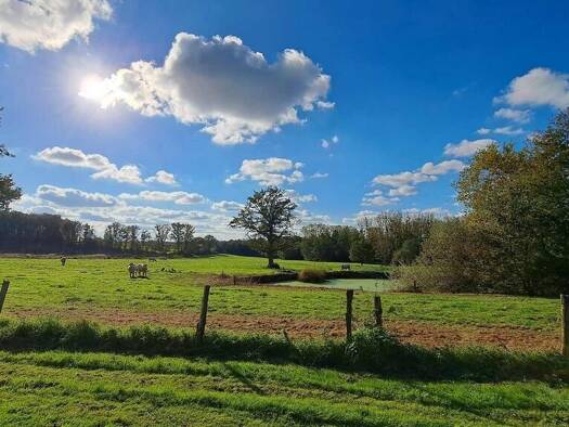 Achat maison de luxe Châtel-de-Neuvre 03500