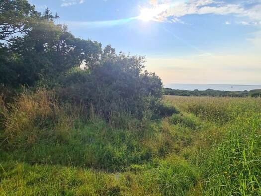 Achat Le Fret-Tal Ar Groas Crozon 29160 dès 4 380€ : 20 annonces