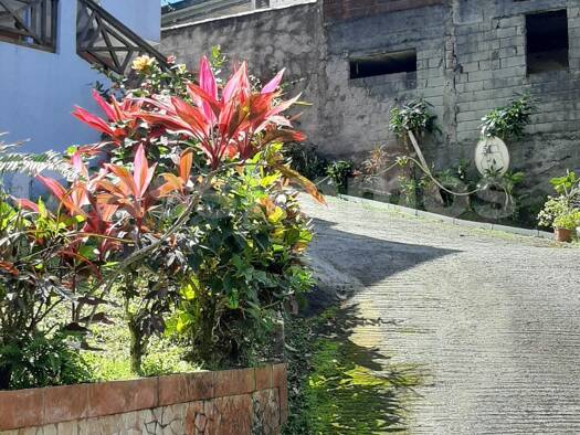 Achat neuf Le Morne-Rouge 97260