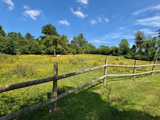 Achat maison de luxe Beaufour-Druval 14340