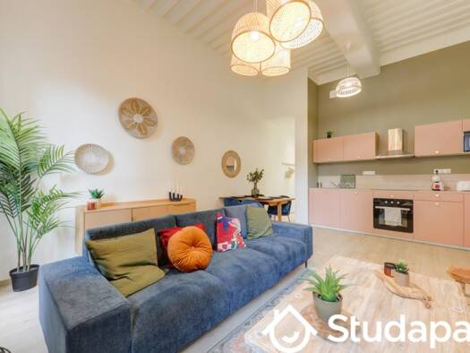 Achat / location immobilier Croix Rousse Gros Caillou Lyon 4ème ...