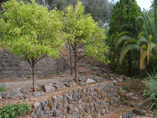 Location maison Roquevignon-La Marbriere Grasse 06130