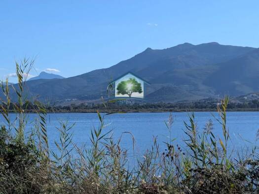 Achat maison en viager San-Martino-di-Lota 20200