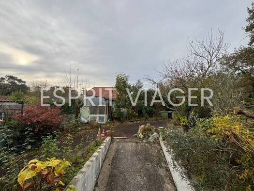 Achat maison en viager Cantenac 33460